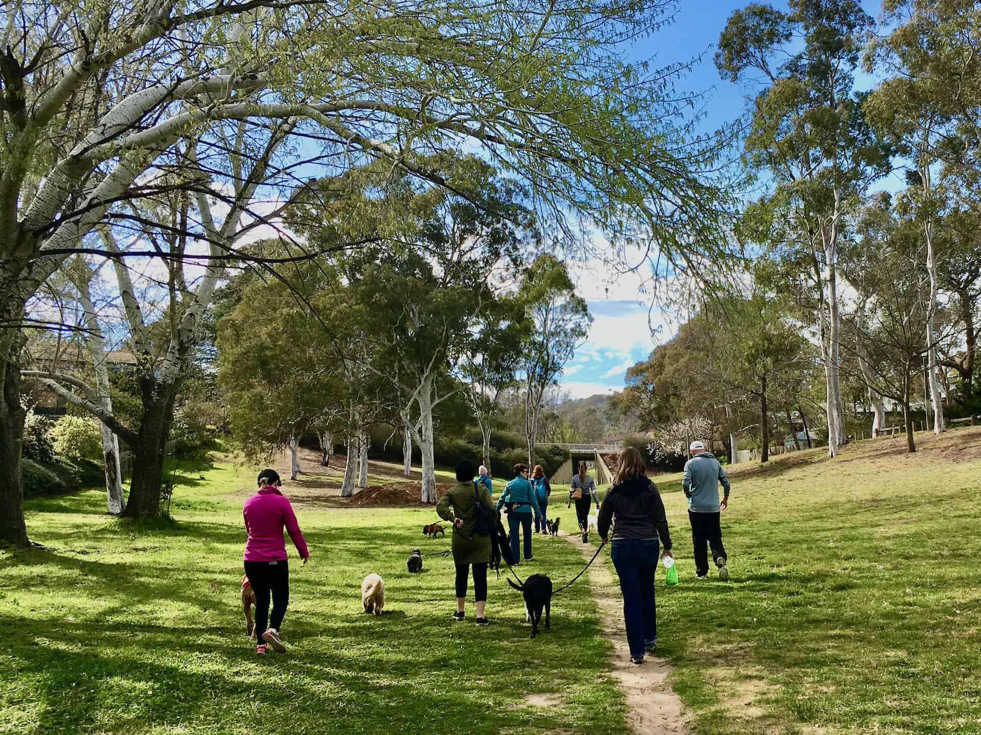 Canberra walks - Hughes walk - Canberra Dog Walks